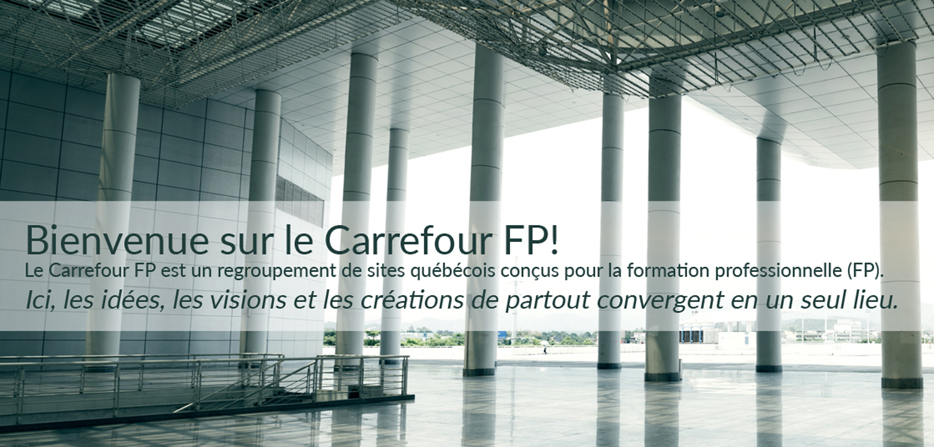 Page d’accueil Carrefour FP – Mobile – Carrefour FP